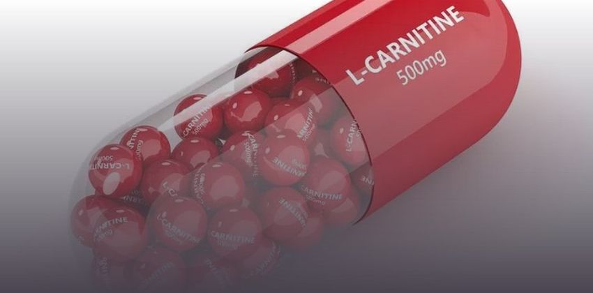 The ABCs of L-Carnitine - What exactly is L-Carnitine - Weight loss