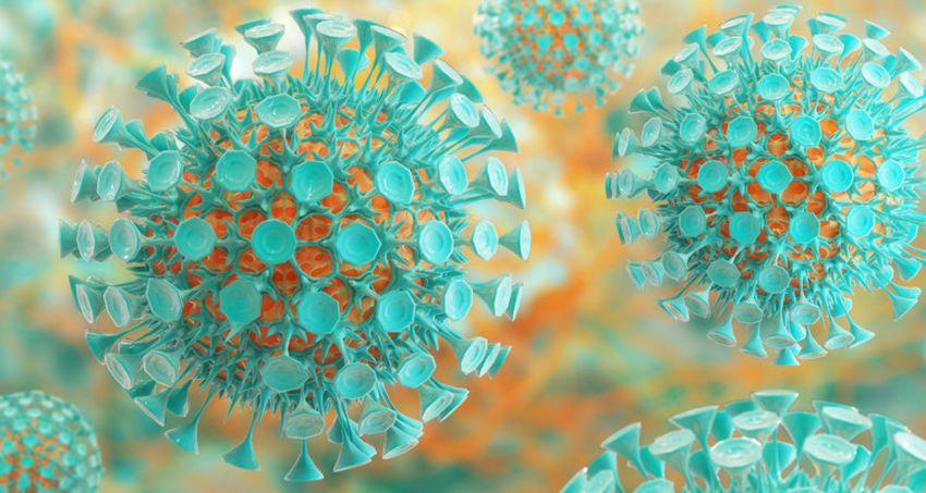 3 Things You Need to Know About Beneficial Bacteria - Improve Health