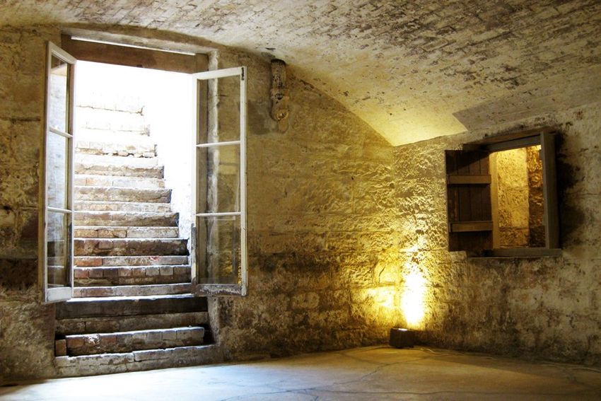 6 Rules To Keep Your Cellar Clean and Organized - Work in waves - Light