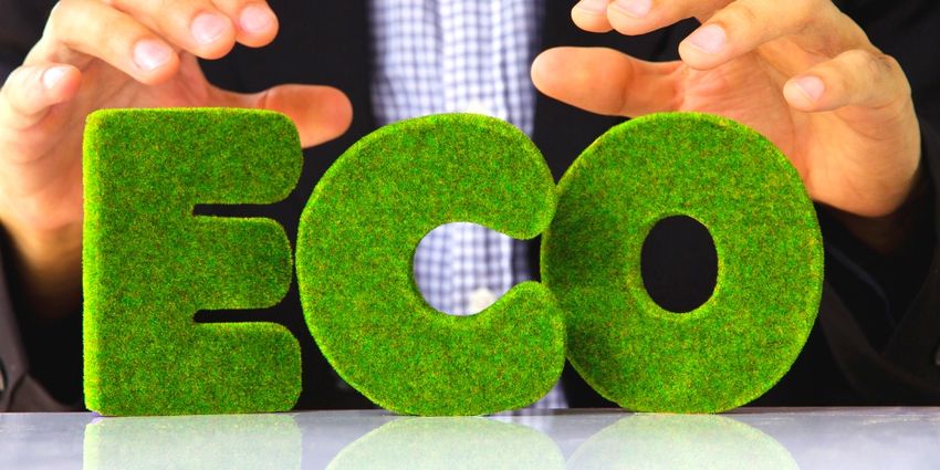 Practical Ways To Make Your Business More Eco-Friendly - Telecommuting