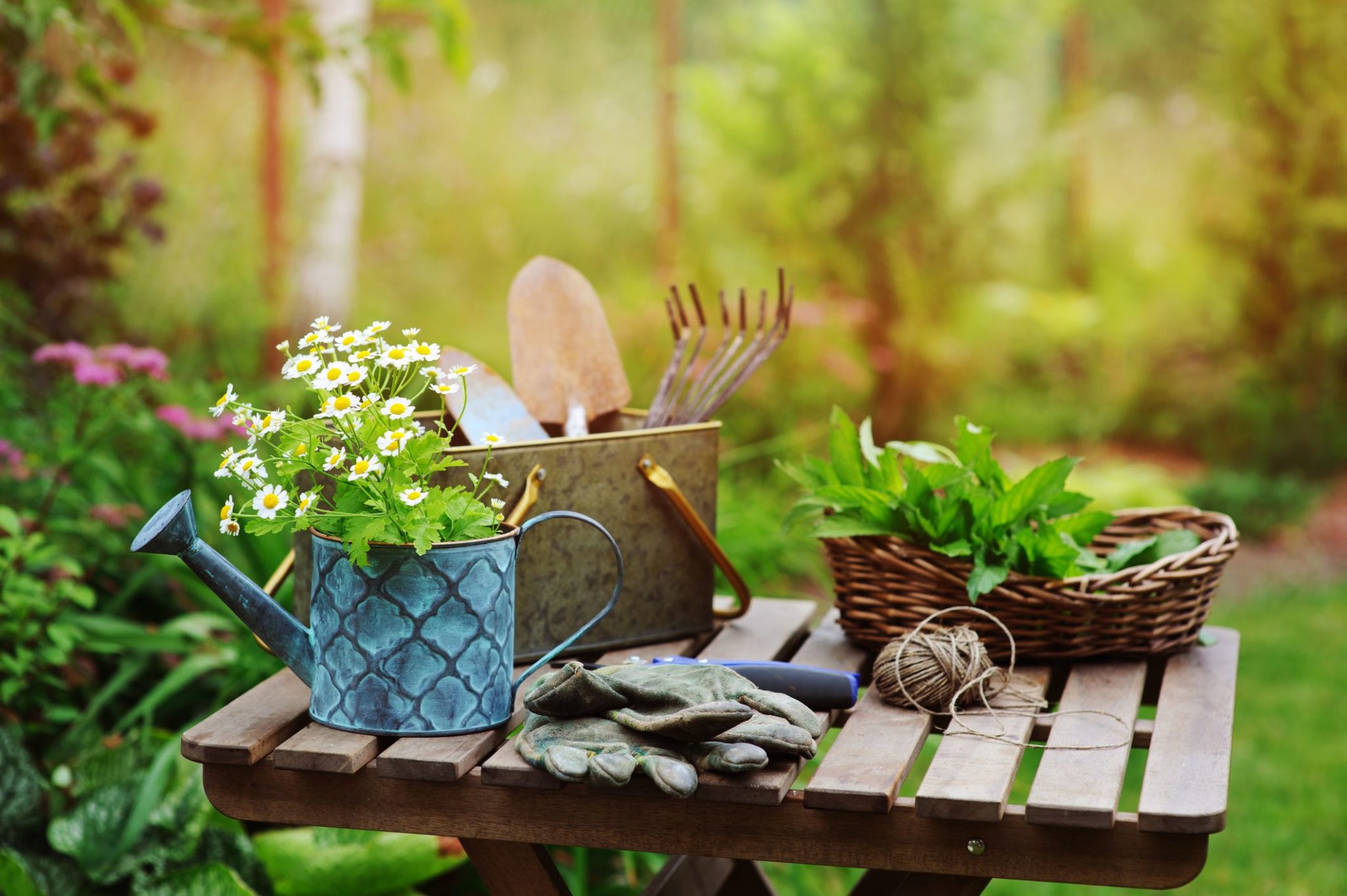 Tools that will help you to keep your garden in a perfect shape - iCharts
