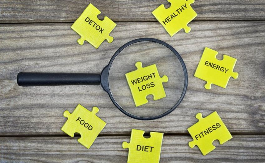 Solving the Weight Loss Puzzle - iCharts