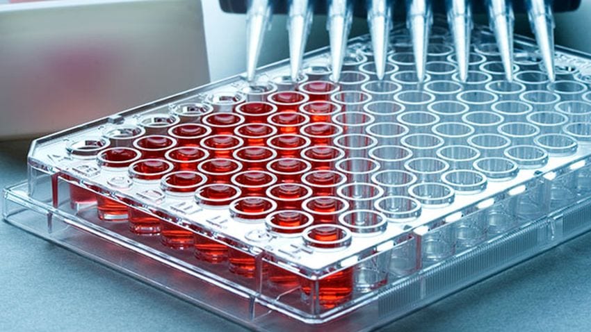 A Quick Overview of the Microplate Market - iCharts
