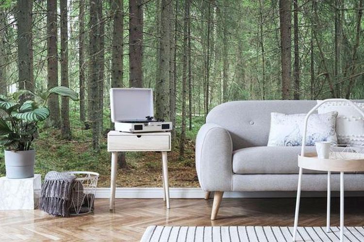 10 Wall Murals Designs Ideas for your Home in 2024 - iCharts