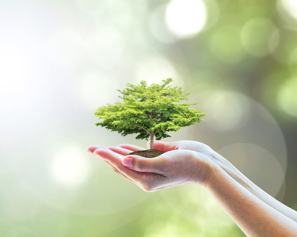 How To Be More Environmentally Conscious In Everyday Life? - iCharts