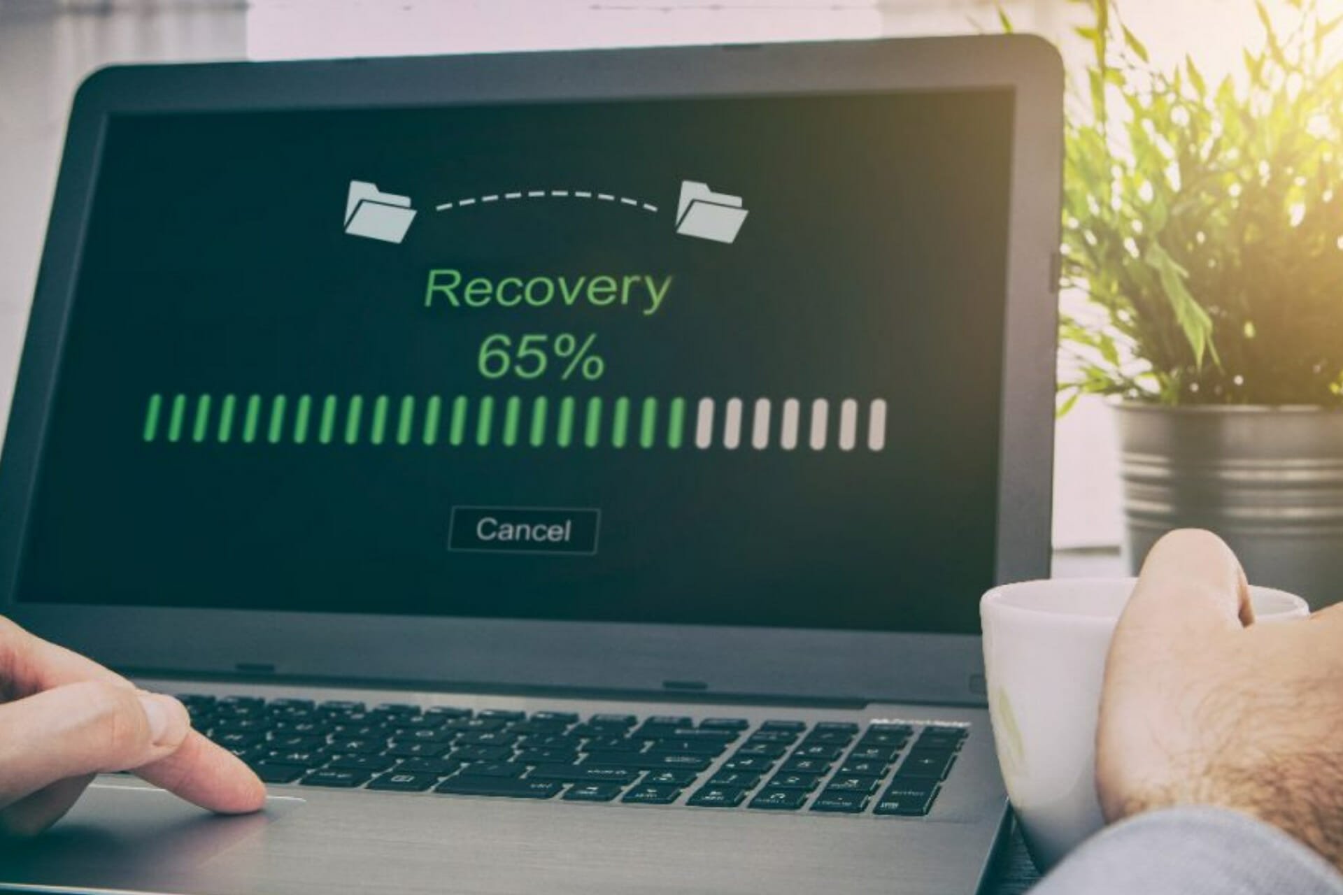 Top Image Recovery Software Recommendation an Easy Guide to Recover ...