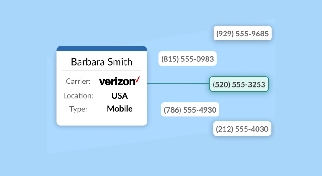 Phone Carrier Lookup: Your Key to Efficient Communication Cost Control ...