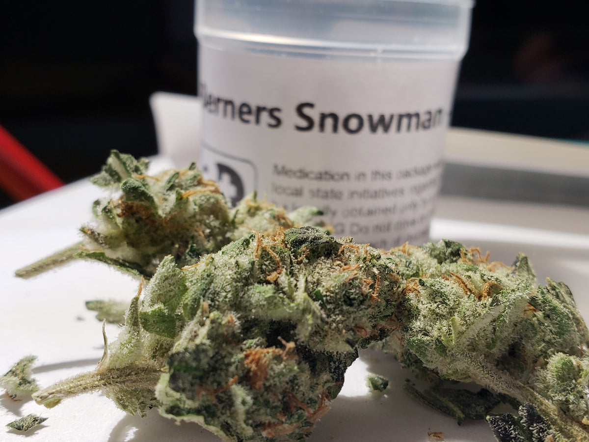 Why Everyone Loves the Snowman Weed Strain - iCharts