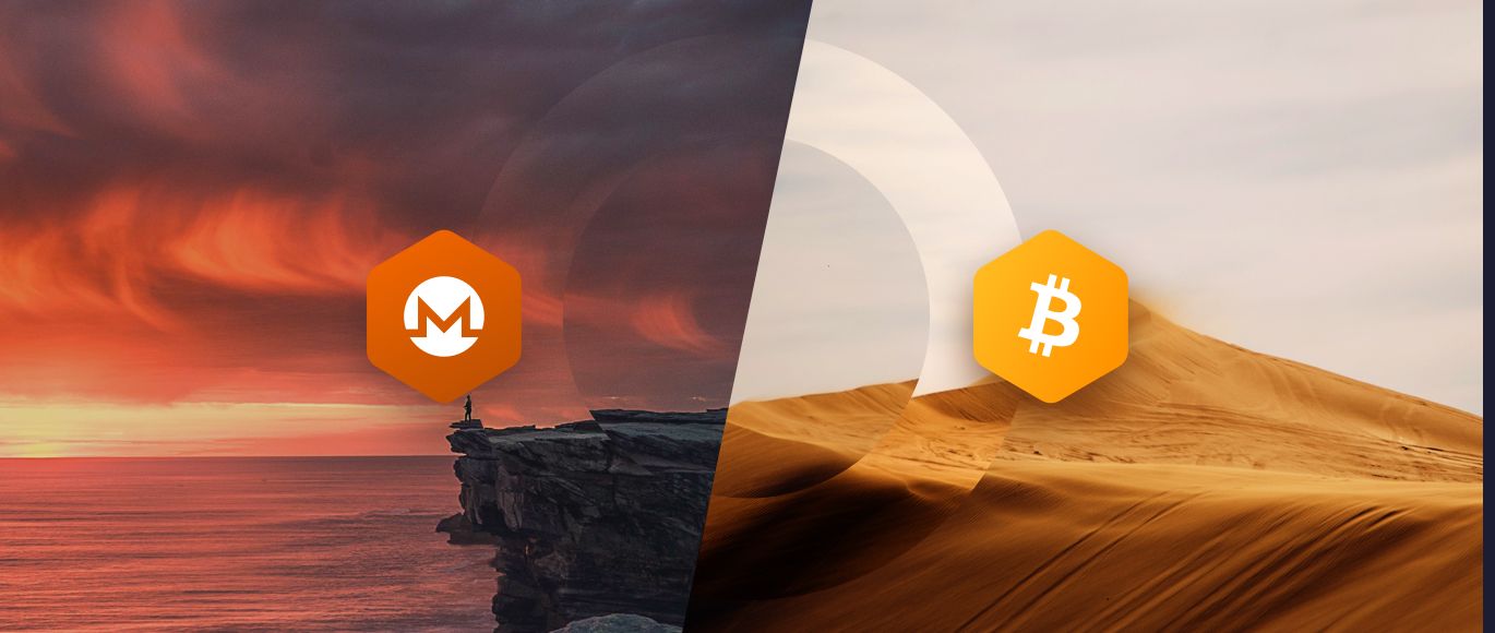 Converting BTC to XMR: Top 3 Platforms - iCharts