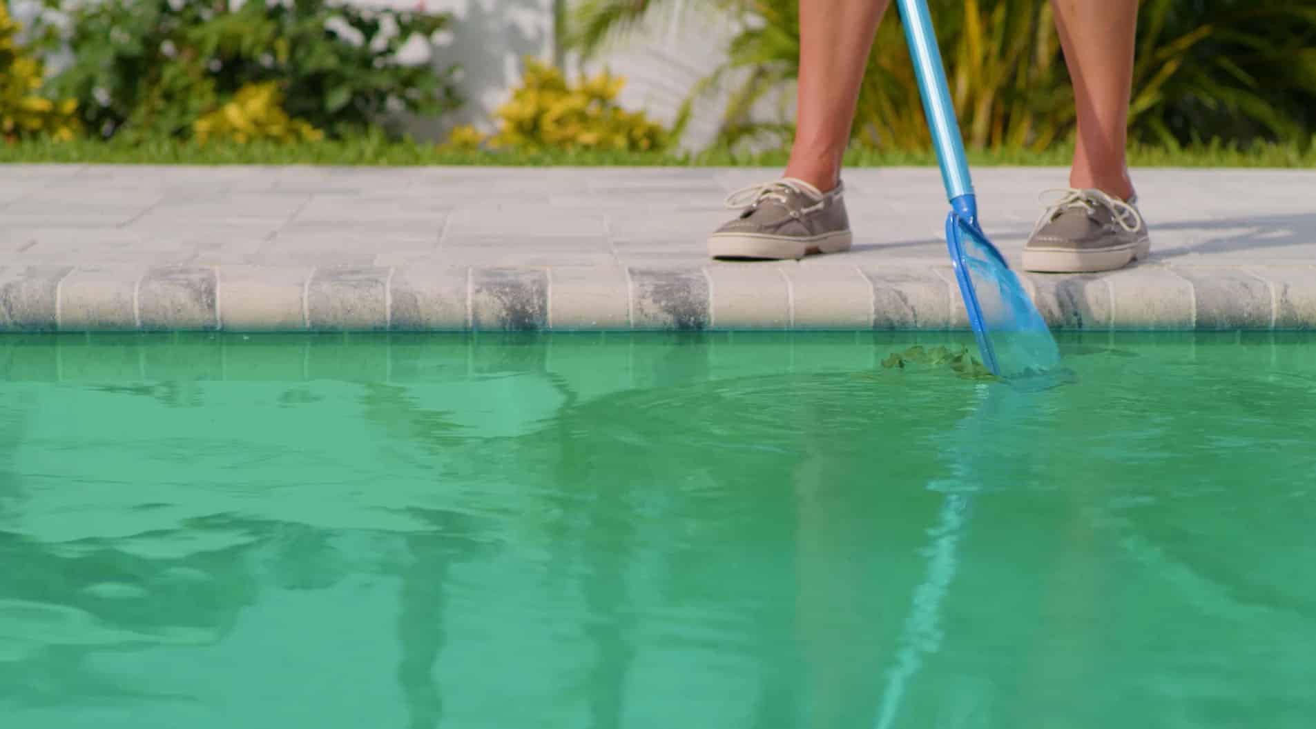 How to Clean a Green Pool Without Chemicals: Eco-Friendly Tips - iCharts