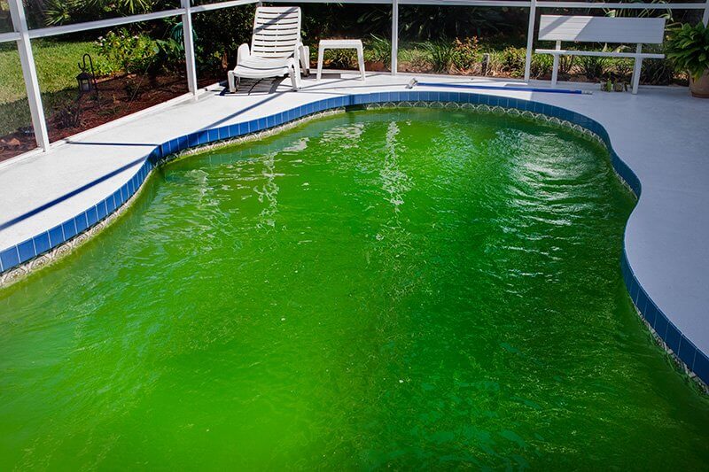 How to Clean a Green Pool Without Chemicals: Eco-Friendly Tips - iCharts