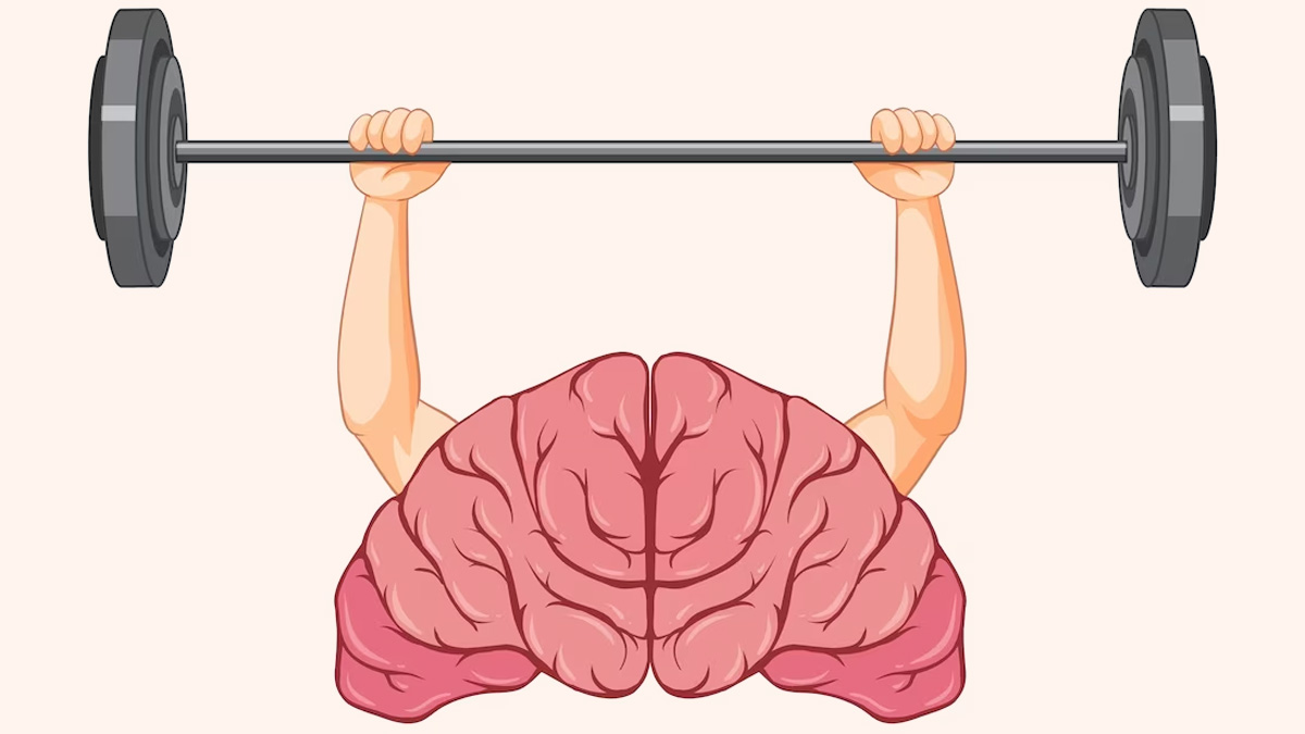 What Is Muscle Memory in Bodybuilding: Unraveling the Phenomenon - iCharts