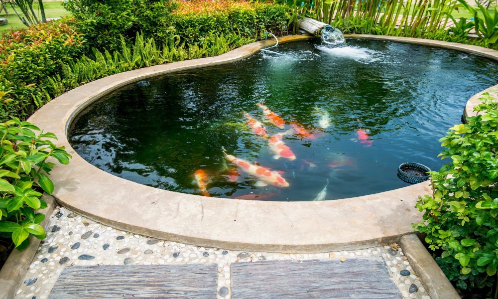 Modern Pond Designs - Sleek and Stylish Ideas for Contemporary Gardens ...